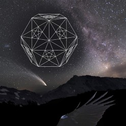 Animalism - Crow Shaman Poster - Naked Geometry